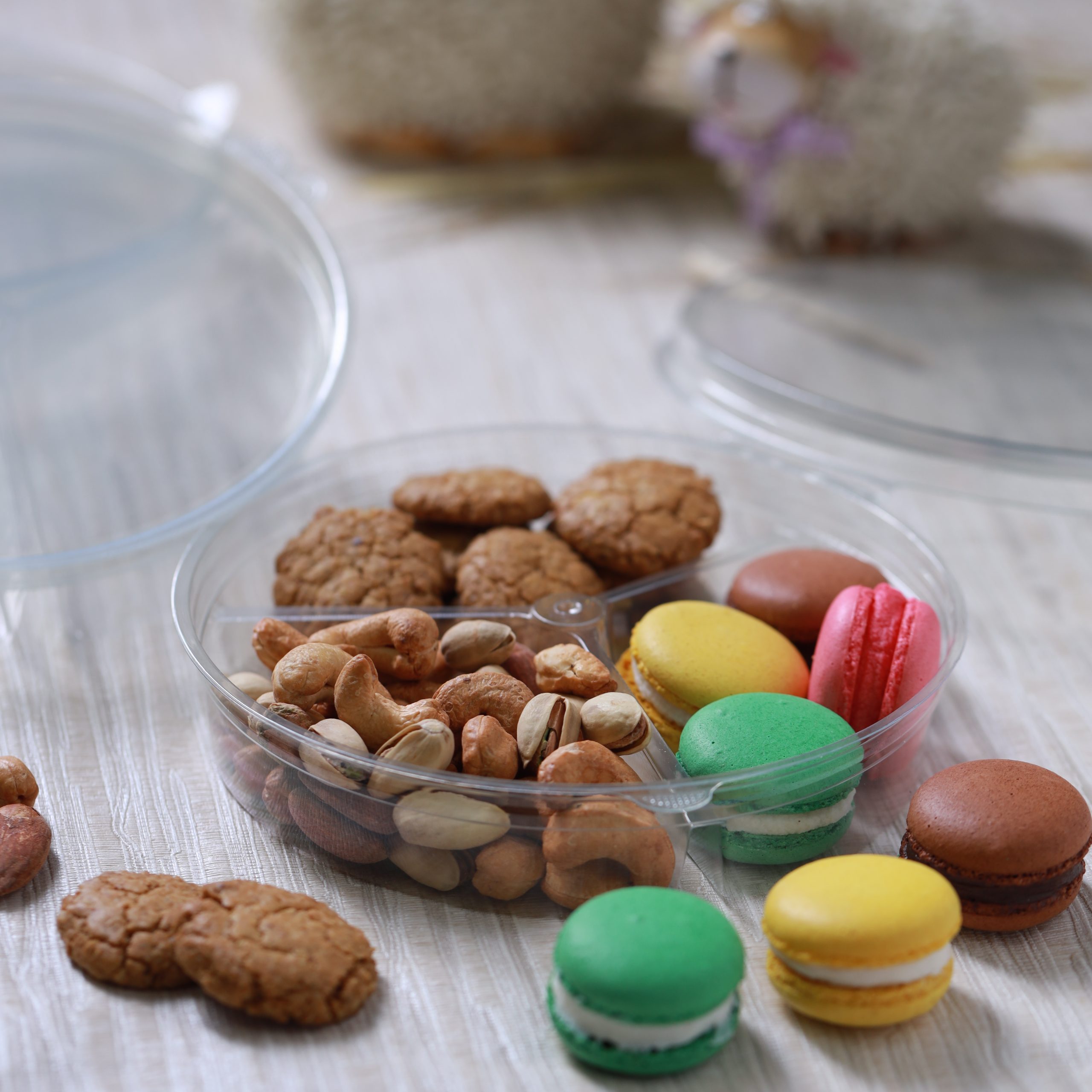 Mercedes plastic box – shawa plast